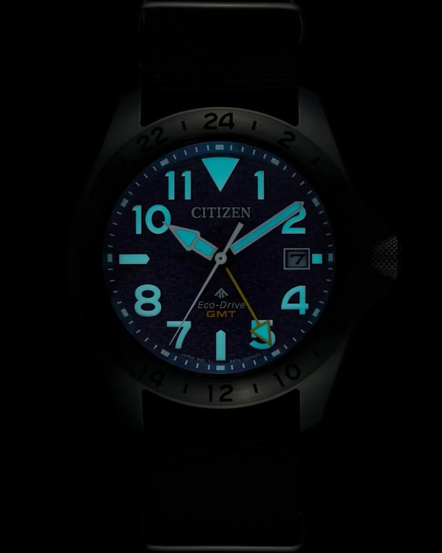 Sponsored: Built for the Elements — Meet the Citizen Promaster Land GMT ...